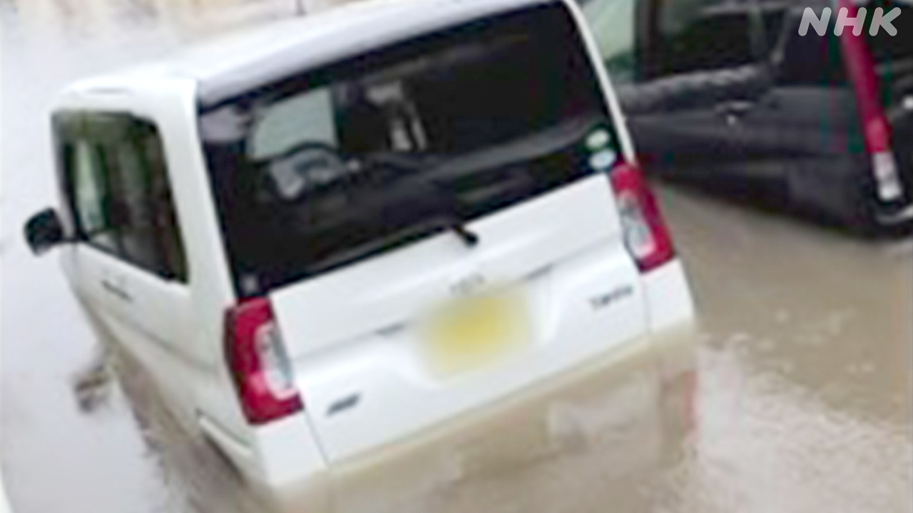 Easier Japanese Practice | NHK Easier